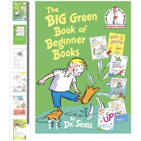 Dr. Seuss | Toys | Dr Seuss Big Green Book Of Beginner Books | Poshmark